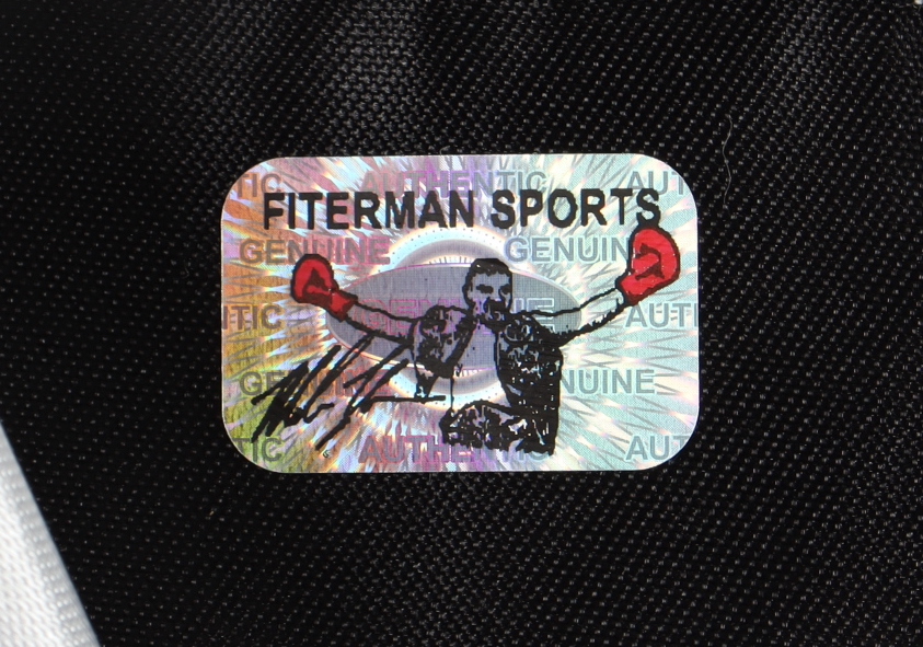 Mike Tyson Signed Everlast Boxing Robe (PSA & Tyson) | Pristine Auction