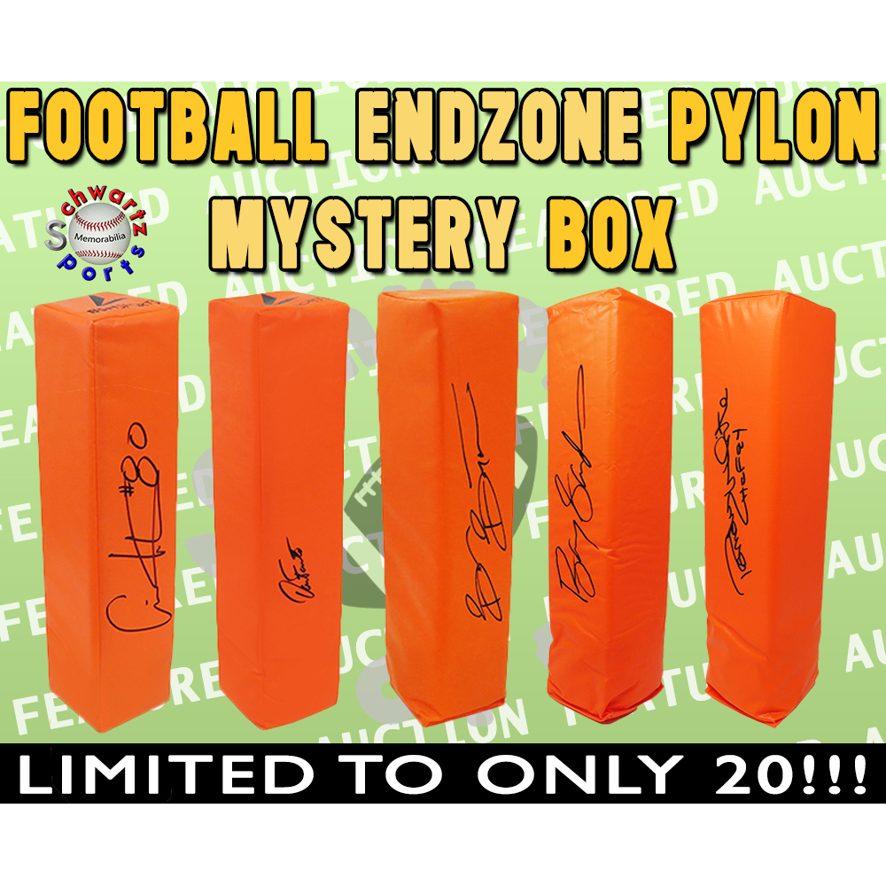 Schwartz Sports Featured Seller Auction - Football Endzone Pylon Signed ...
