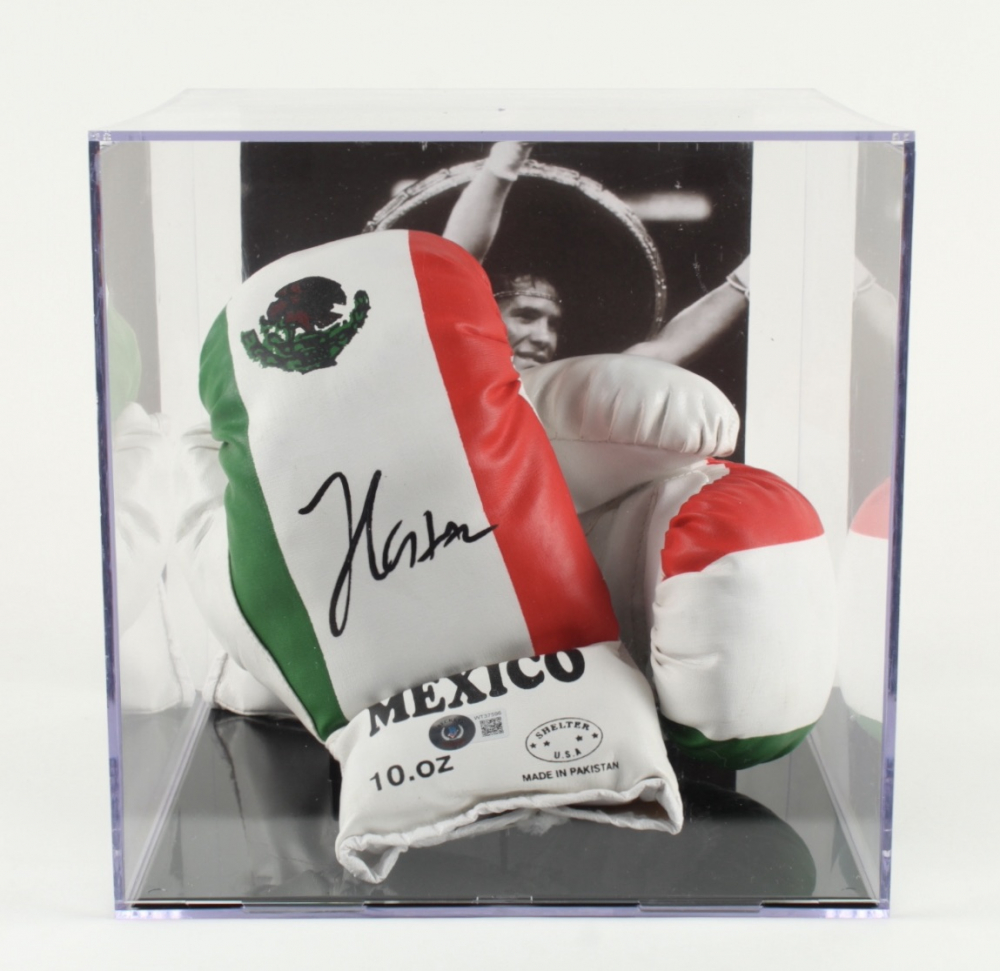 Julio Cesar Chavez Signed Pair of Boxing Glove with Display Case ...