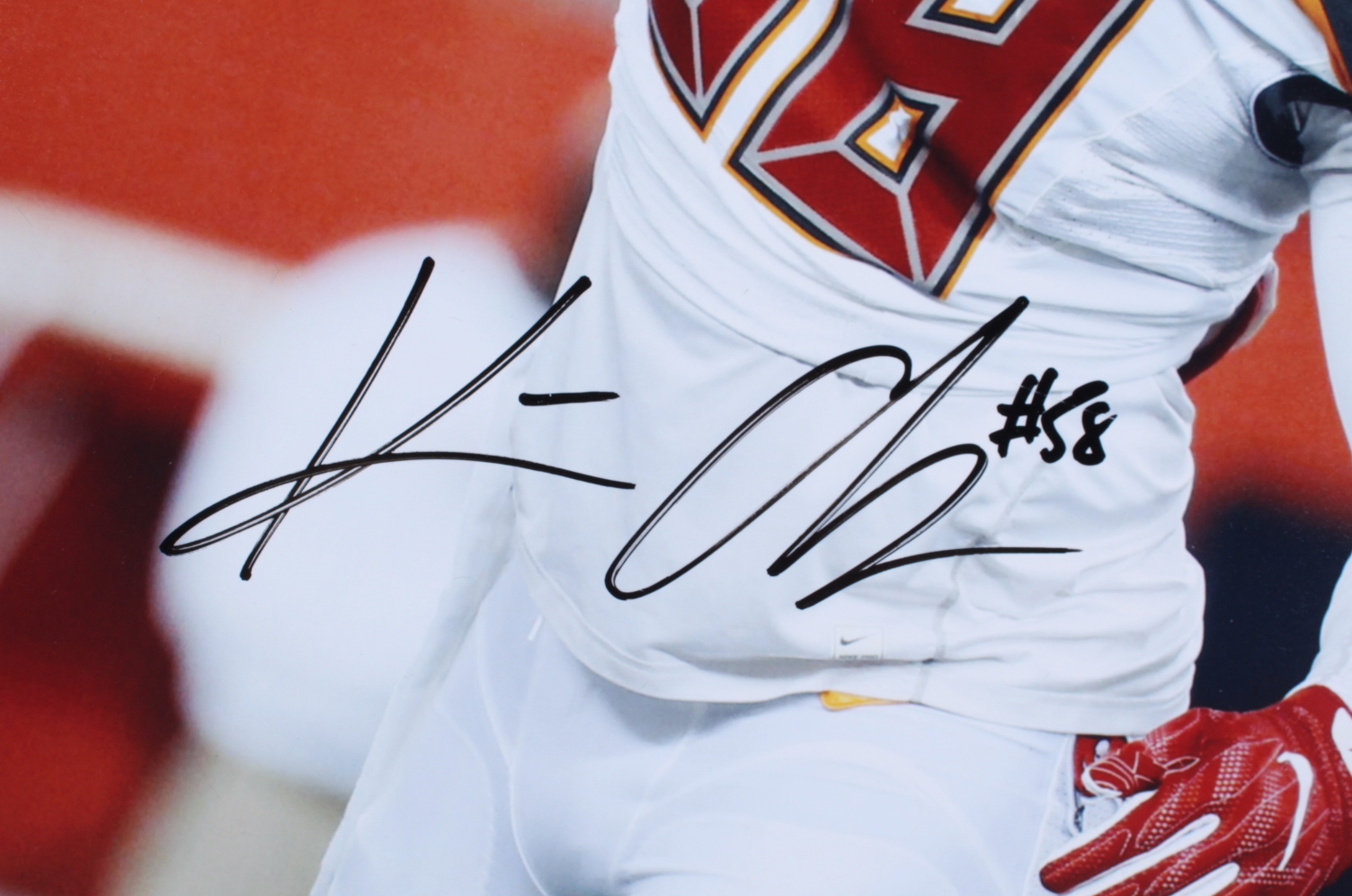 Lavonte David & Kwon Alexander Signed Buccaneers 16x20 Photo (JSA ...