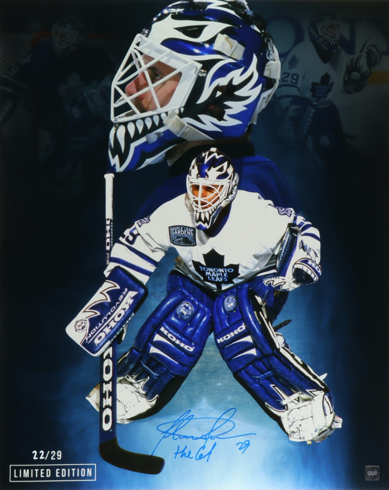 Felix Potvin Signed LE Maple Leafs 16x20 Photo Inscribed "The Cat ...