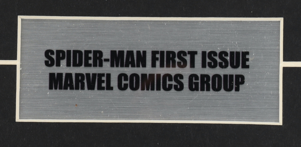 Vintage 1990 "The Amazing Spider-Man: Torment Part 1" 12x17 Custom ...
