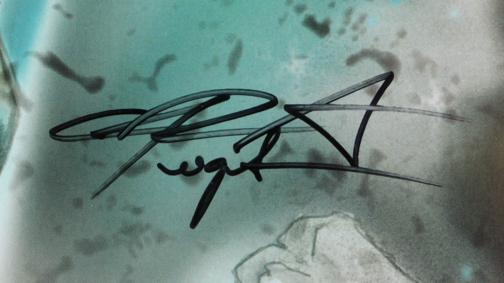 Christopher Sabat Signed "Dragon Ball Z" 12x18 Print (Beckett & PSA ...