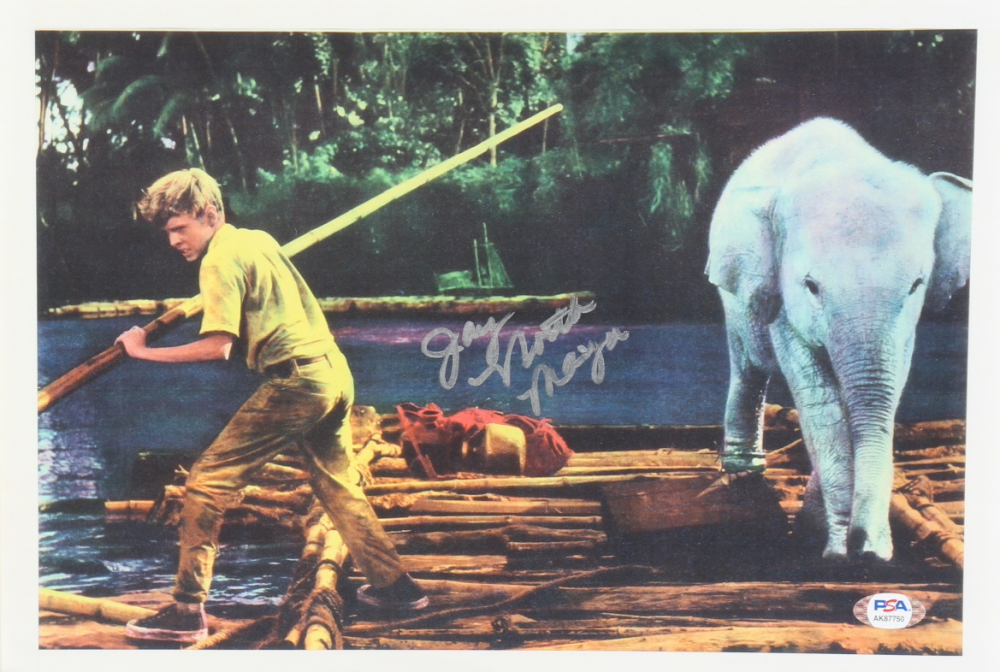 Jay North Signed "Maya" 9x12 Print Inscribed "Maya" (PSA) | Pristine ...