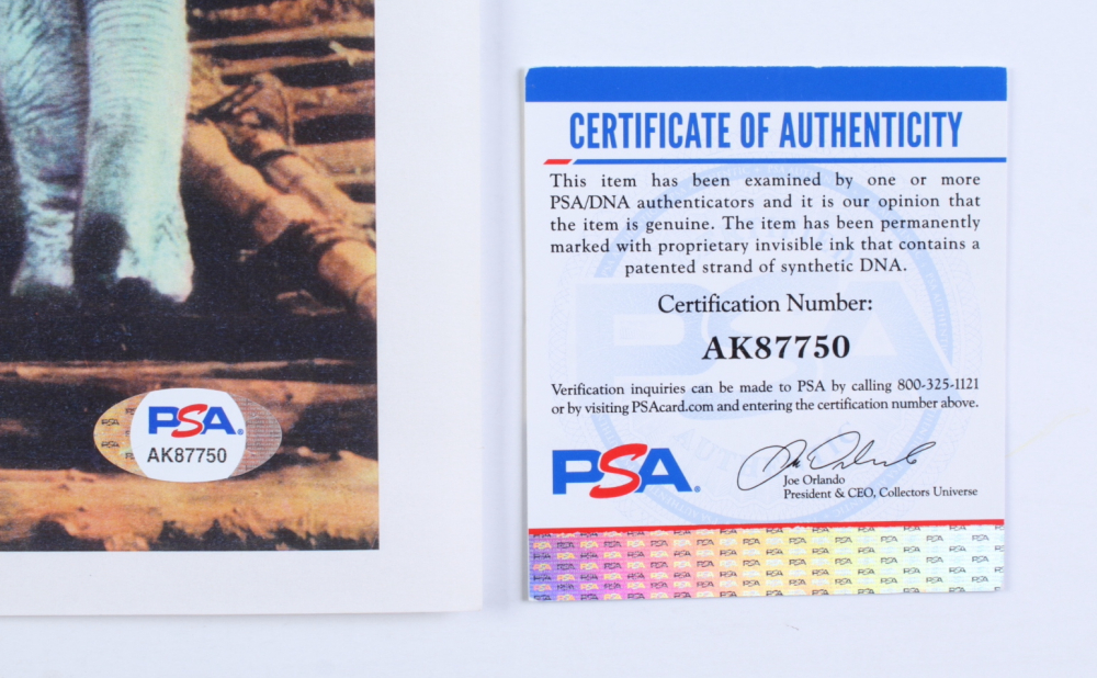 Jay North Signed "Maya" 9x12 Print Inscribed "Maya" (PSA) | Pristine ...