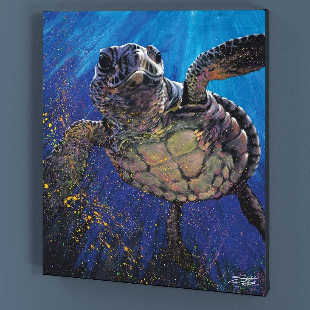 Stephen Fishwick Signed "Kemp's Ridley" Limited Edition 16x20 Giclee on ...