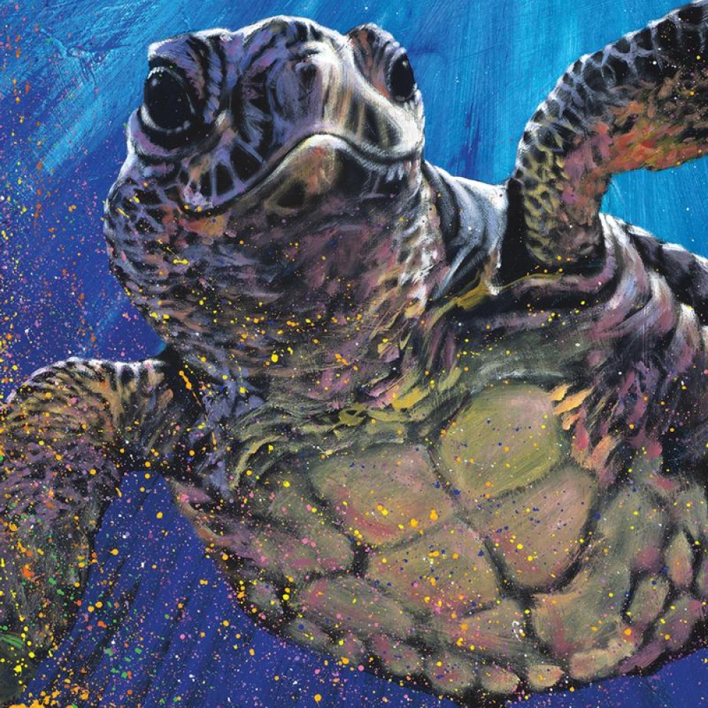 Stephen Fishwick Signed "Kemp's Ridley" Limited Edition 16x20 Giclee on ...