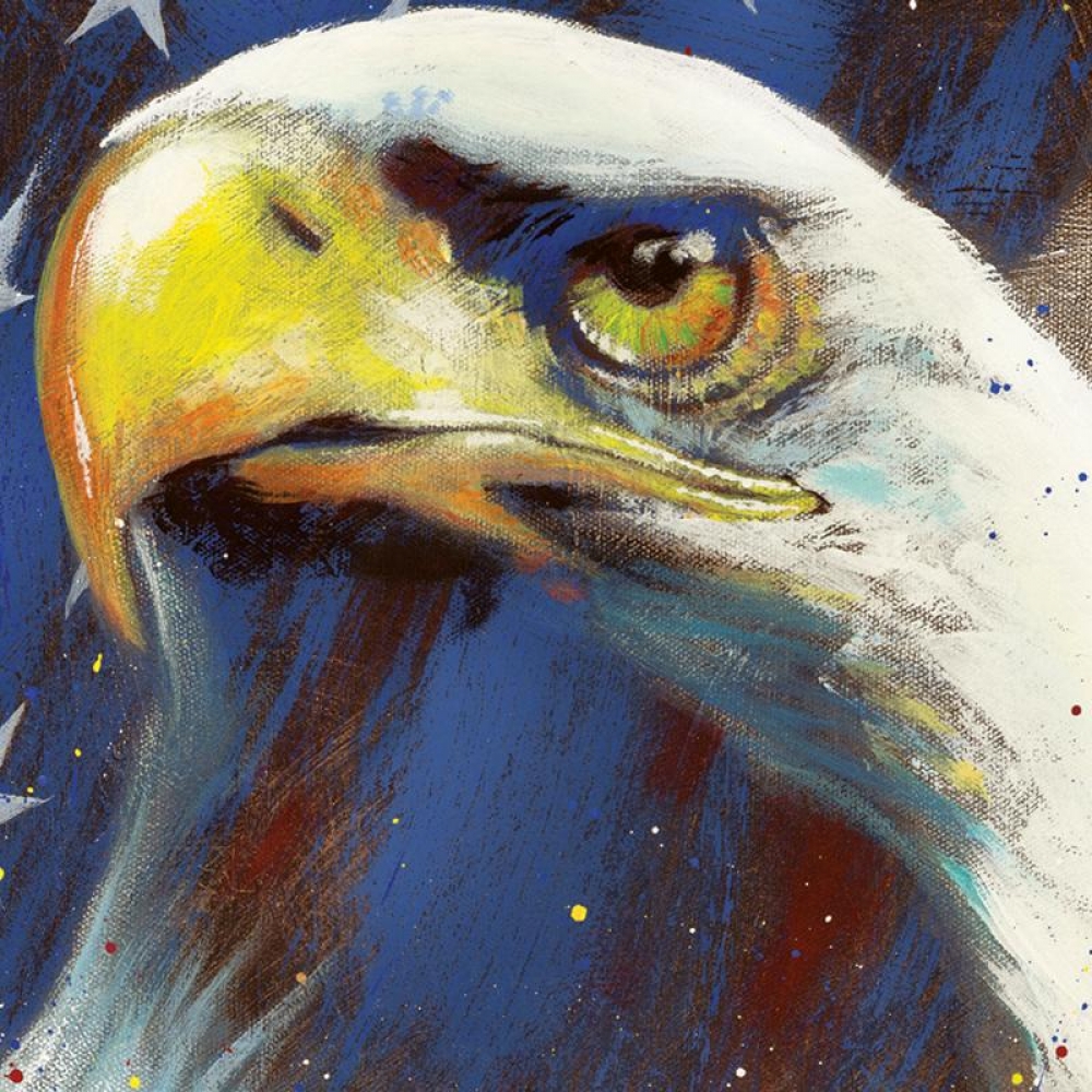 Stephen Fishwick Signed "Formatted America" Limited Edition 16x20 ...