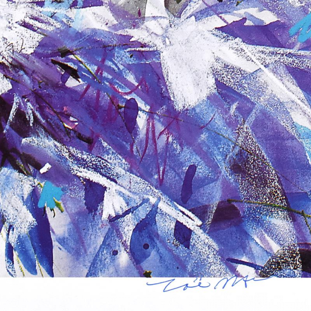 Zoe Mac Signed "Something Wonderful" Numbered LE 23x29 Lithograph (PA ...