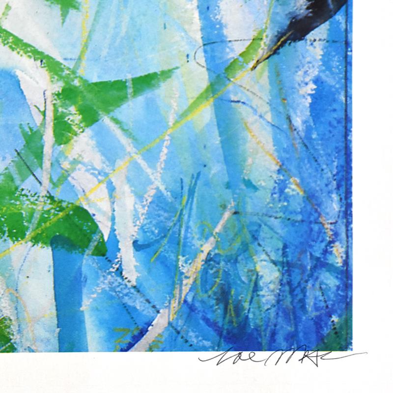 Zoe Mac Signed "Starburst" Numbered LE 23x29 Lithograph (PA) | Pristine ...