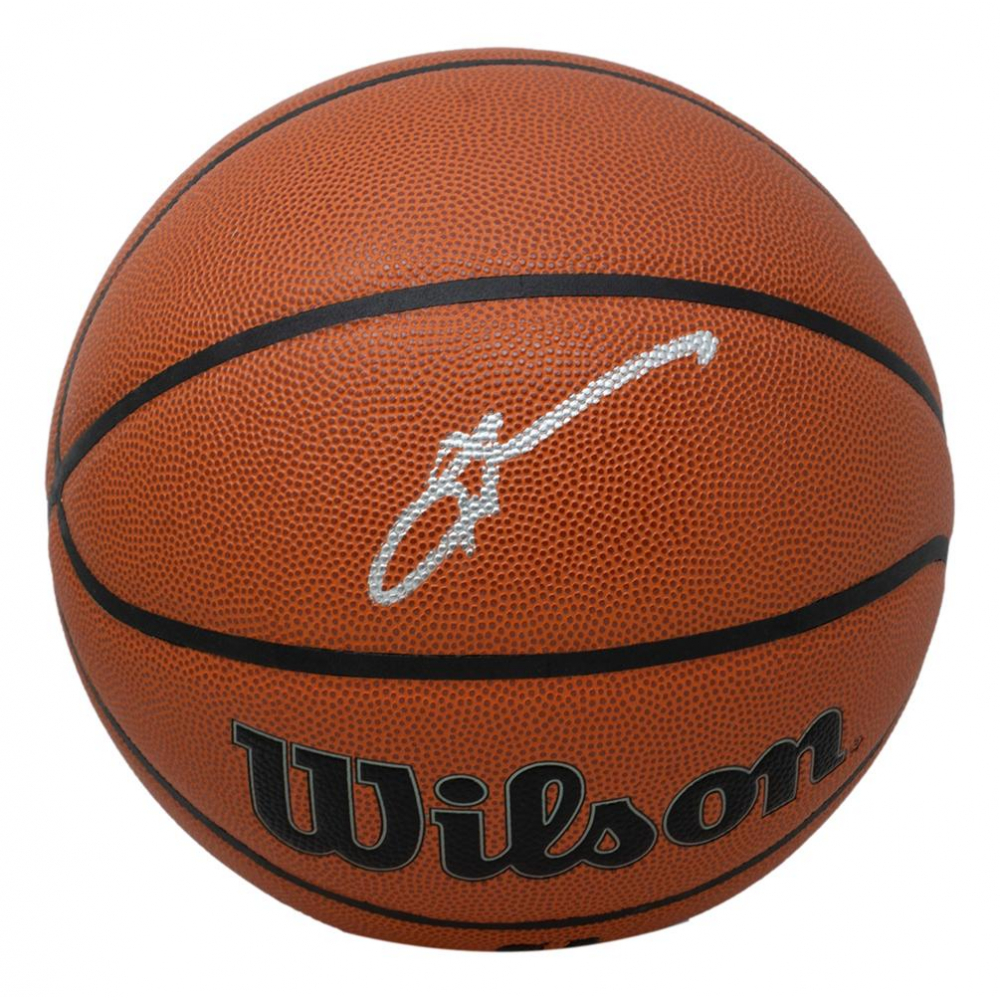 Allen Iverson Signed NBA Basketball (PSA) | Pristine Auction