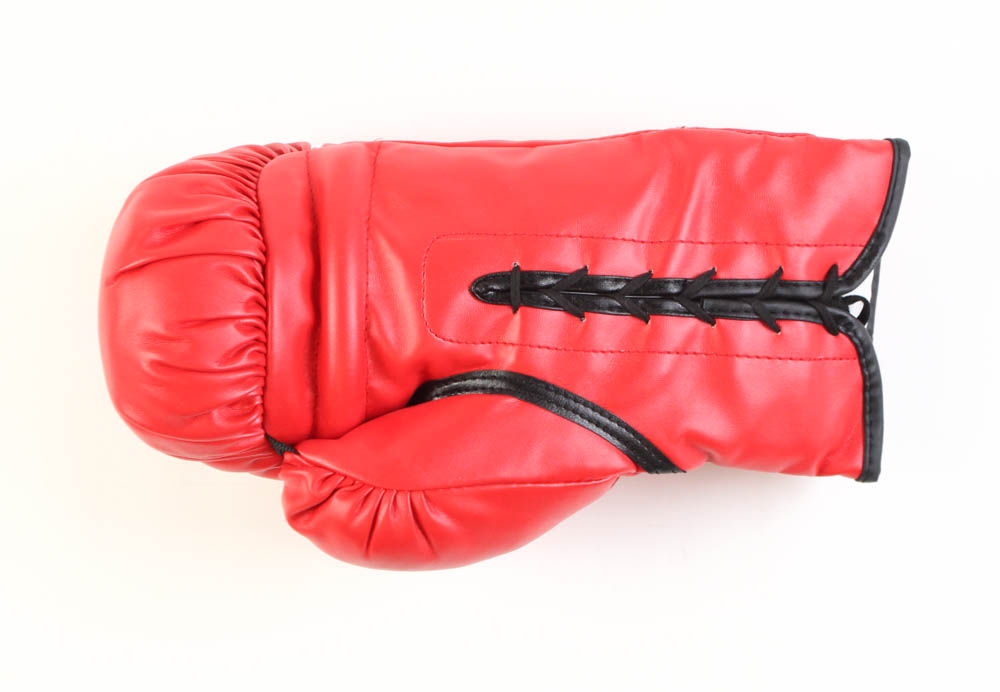 "Merciless" Ray Mercer Signed Everlast Boxing Glove with Multiple Stat ...