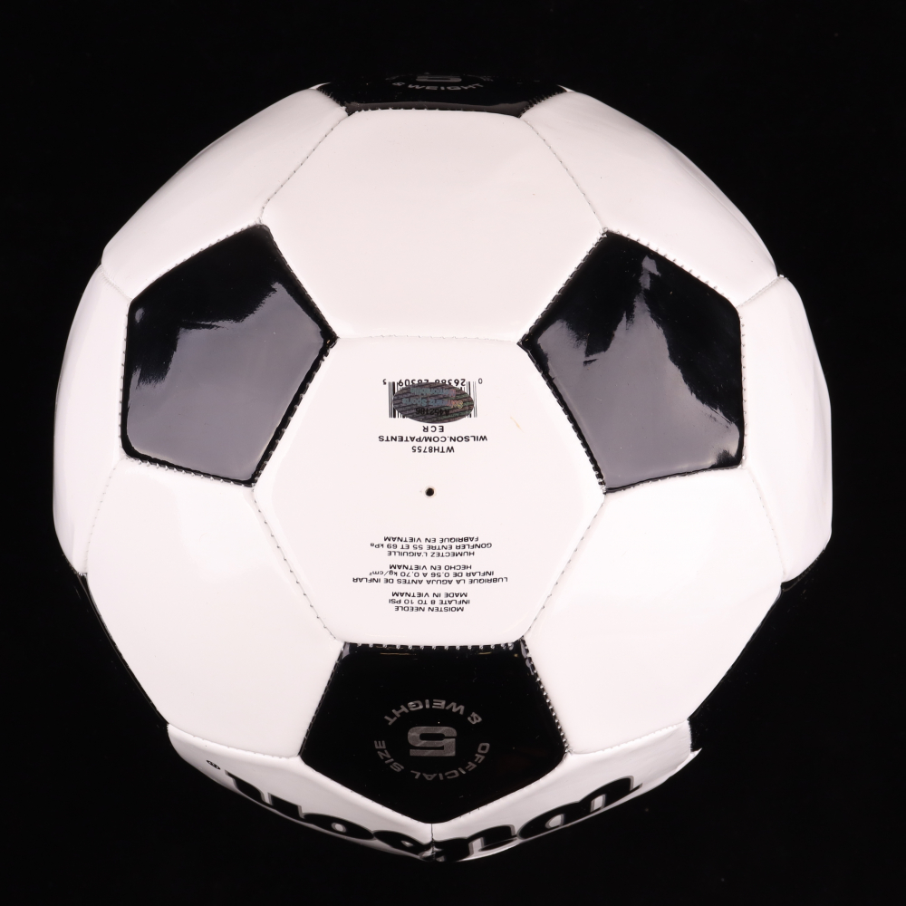 Brett Goldstein Signed Wilson Soccer Ball (Schwartz) | Pristine Auction