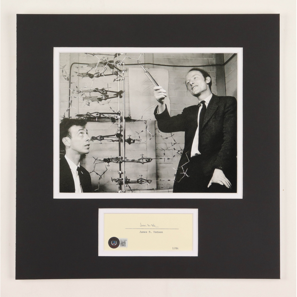 James Watson Signed 14x14 Custom Matted Cut Display (Beckett ...