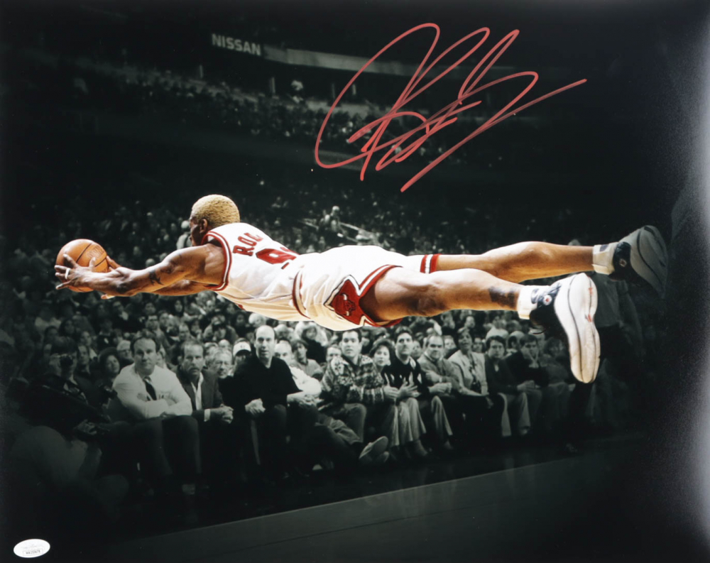 Dennis Rodman Signed Bulls 16x20 Photo (JSA) | Pristine Auction