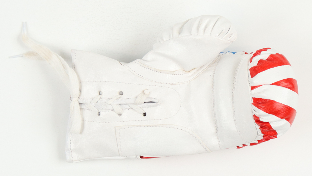 Mike Tyson Signed USA Boxing Glove with Display Case (PSA & Tyson ...