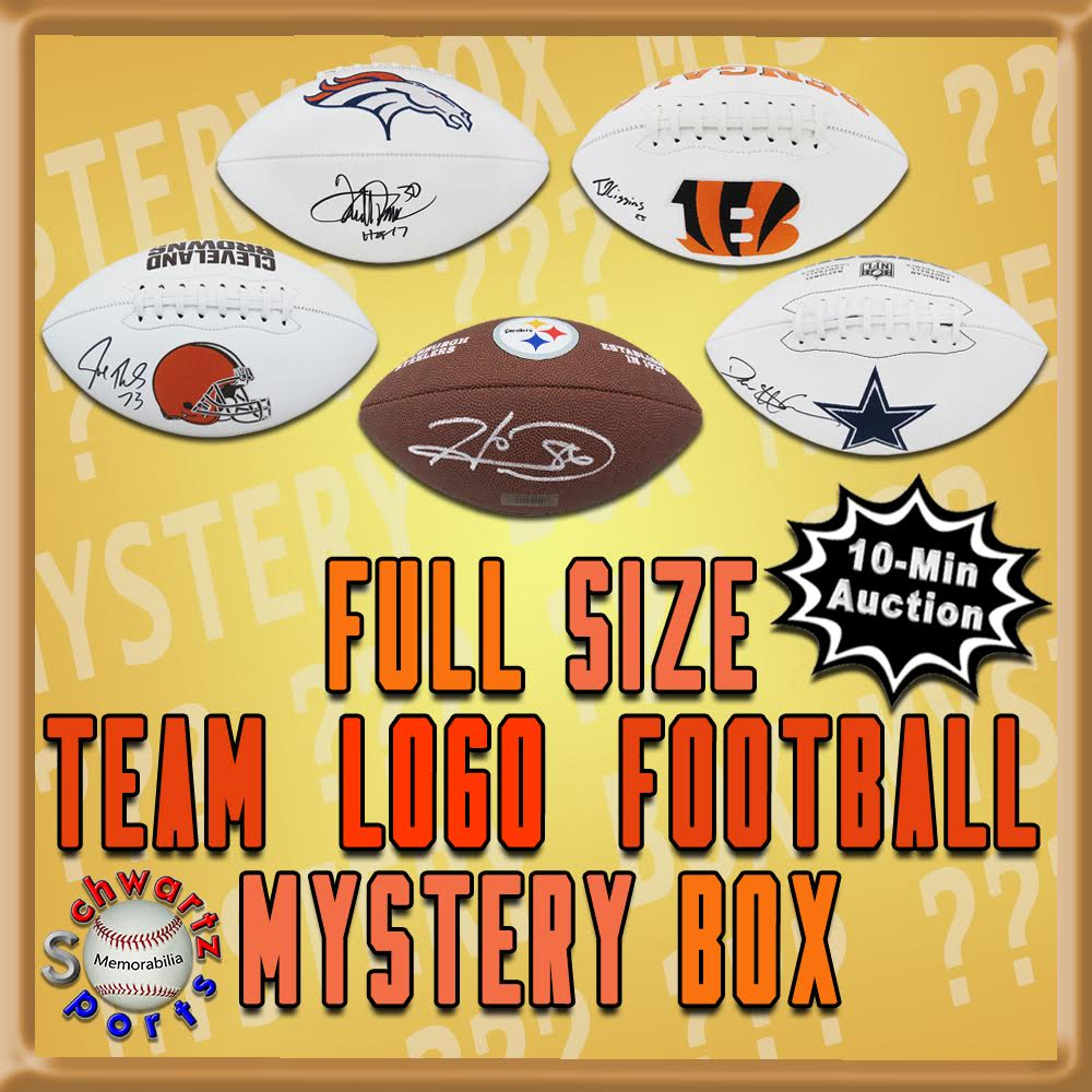 Schwartz Sports 10-Minute Auction TEAM LOGO Full Size Football Signed ...