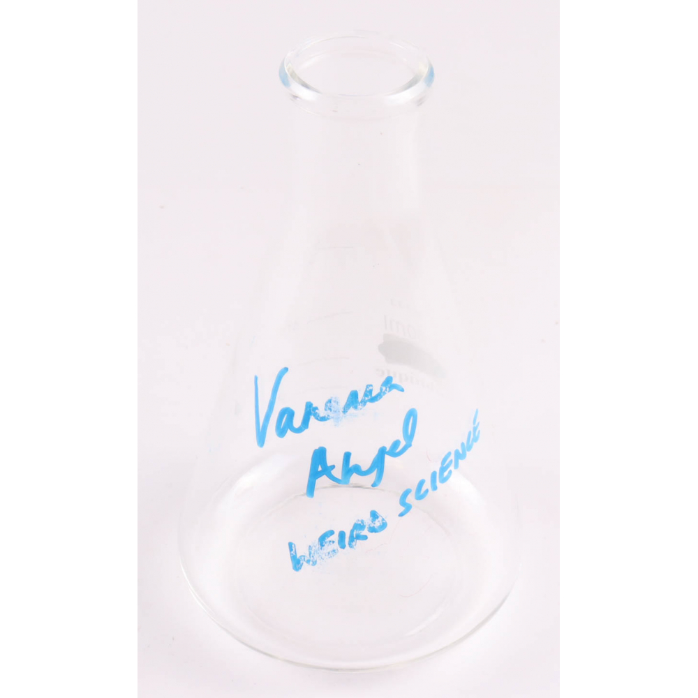 Vanessa Angel Signed Erlenmeyer Flask Inscribed "Weird Science" (JSA ...