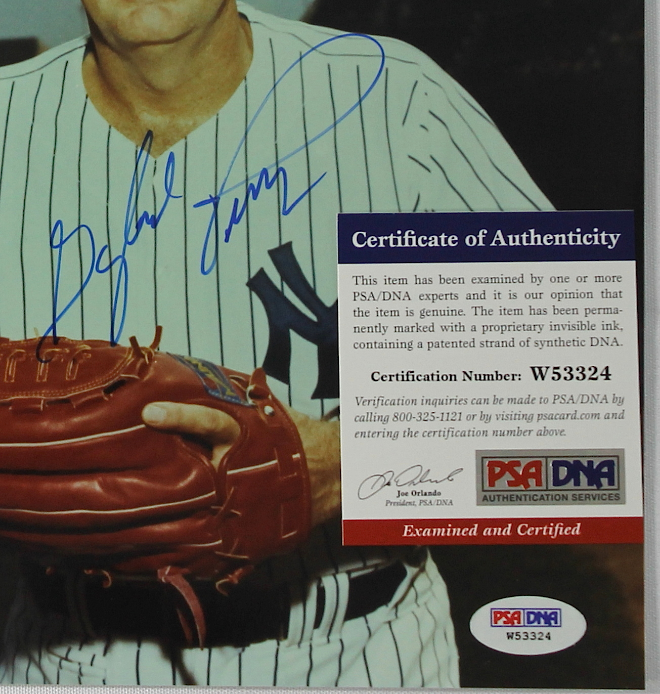 Gaylord Perry Signed Yankees 8x10 Photo (PSA COA) | Pristine Auction