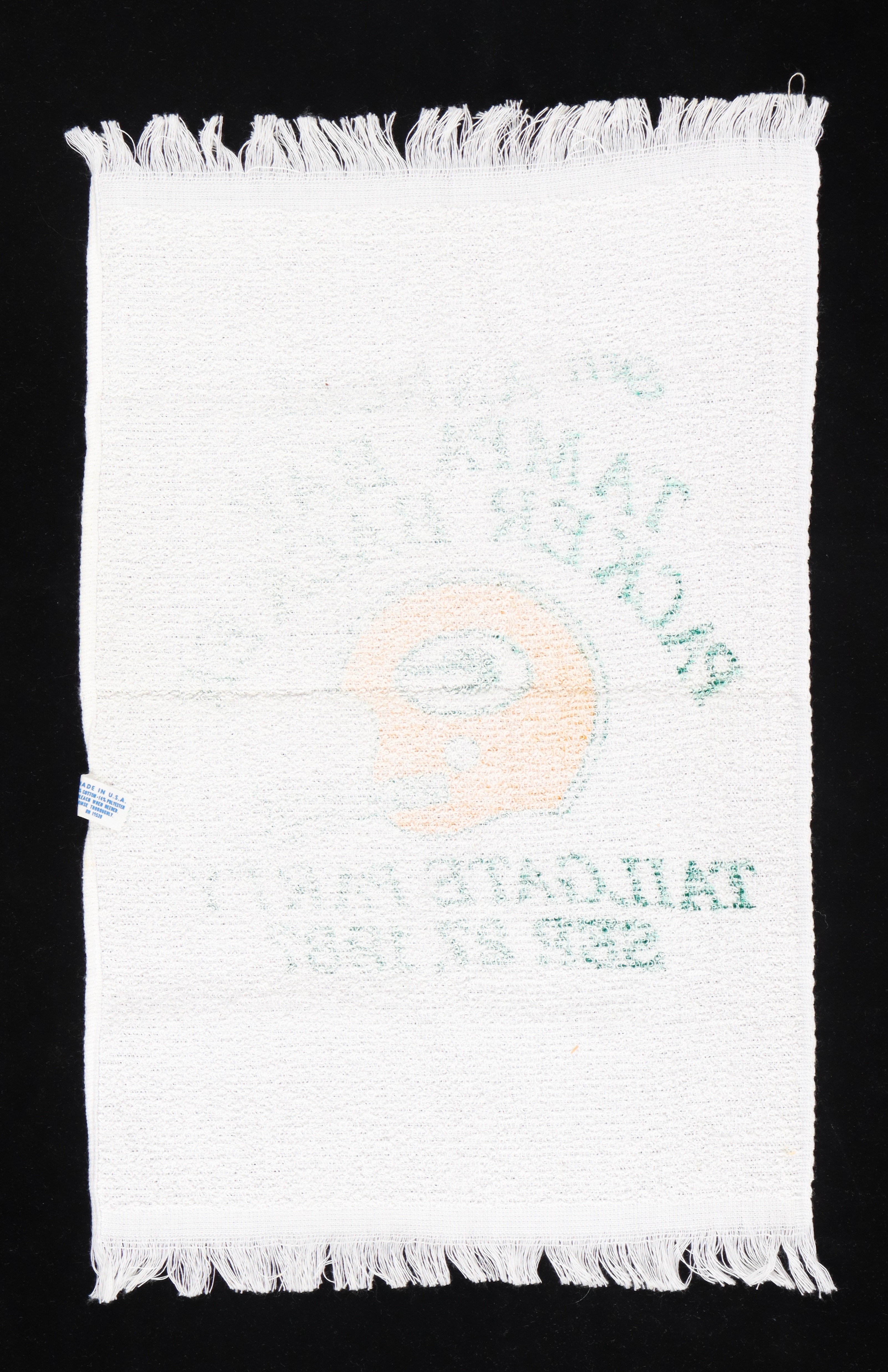 1987 Packers Tailgate Party Towel | Pristine Auction