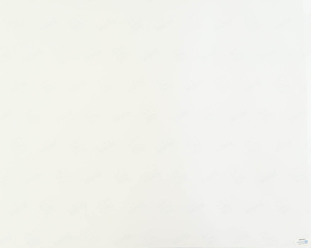 Sho Kosugi Twice-Signed "Revenge of the Ninja" 16x20 Photo Inscribed ...