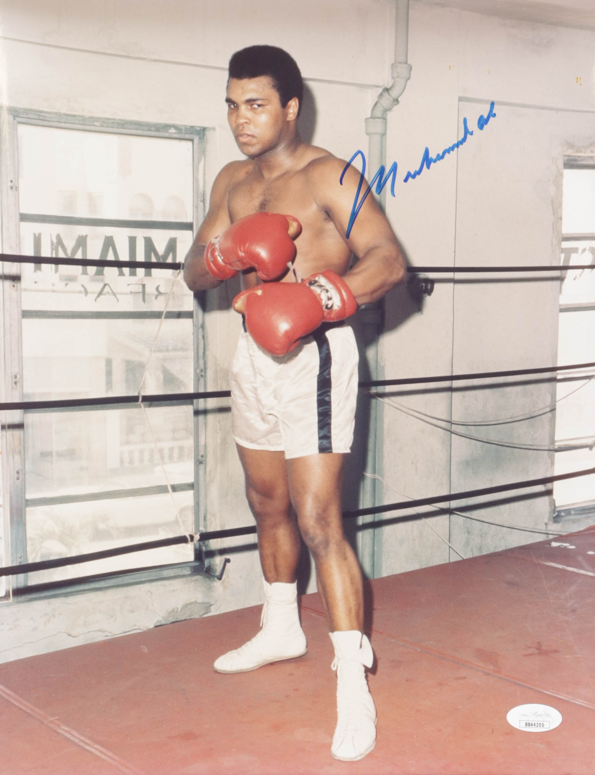Muhammad Ali Signed 11x14 Photo (JSA) | Pristine Auction