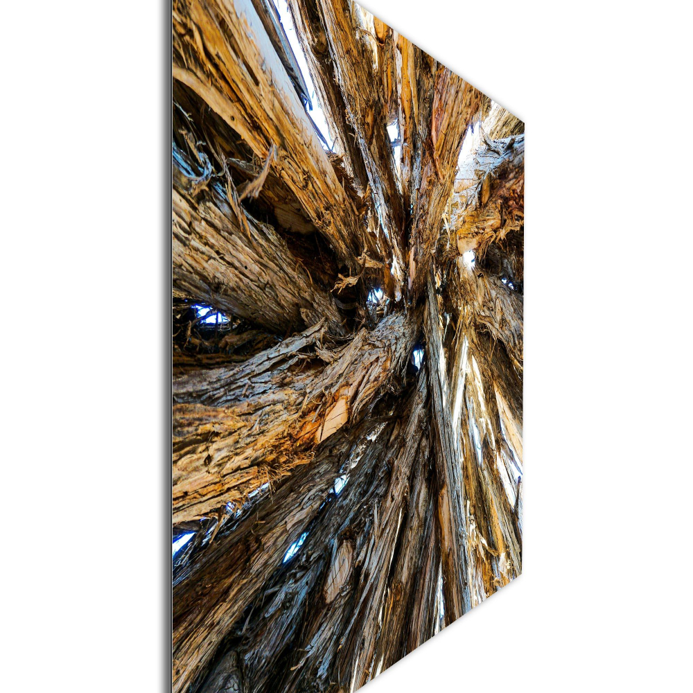 Adam Utz "Teepee Roof" Giclee Print on Aluminum Composite Panel | Pristine Auction