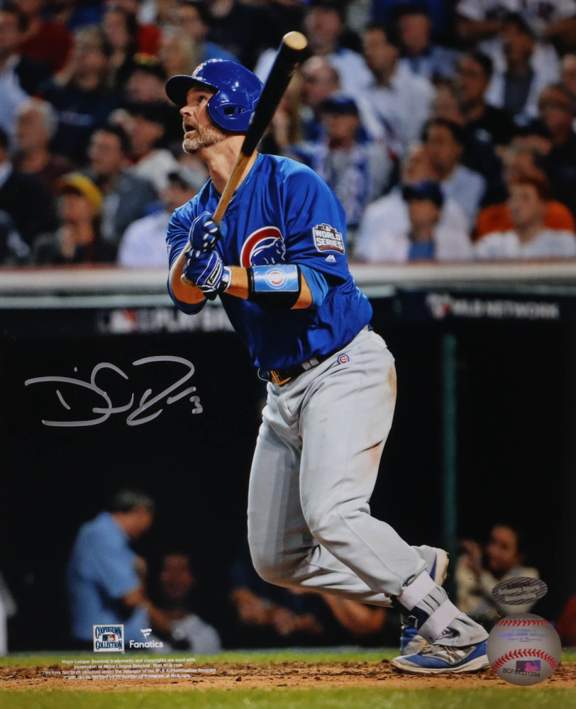 David Ross Signed Cubs 8x10 Photo (Schwartz) | Pristine Auction