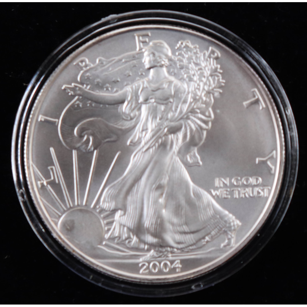 2004 American Silver Eagle $1 One Dollar Coin With Display Case ...
