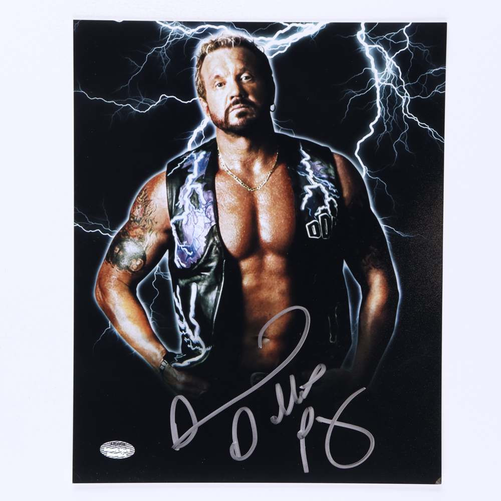 Diamond Dallas Page Signed WWE 8x10 Photo (Schwartz) | Pristine Auction