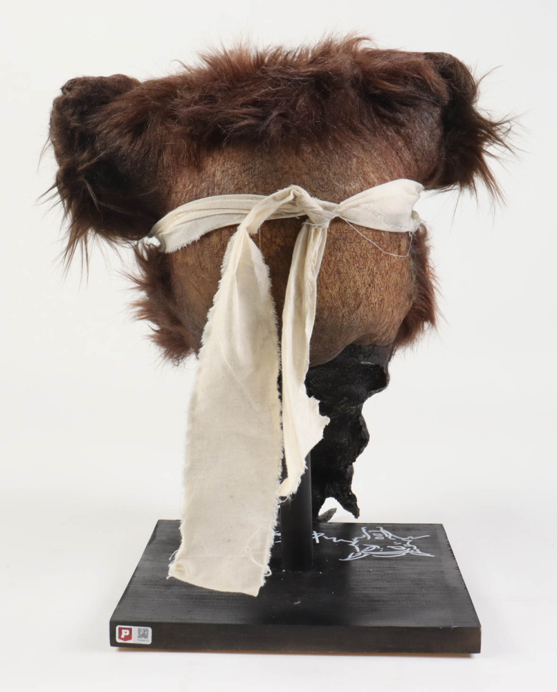 Kevin Eastman Signed Splinter - TMNT Life Size Custom Hand-Painted ...