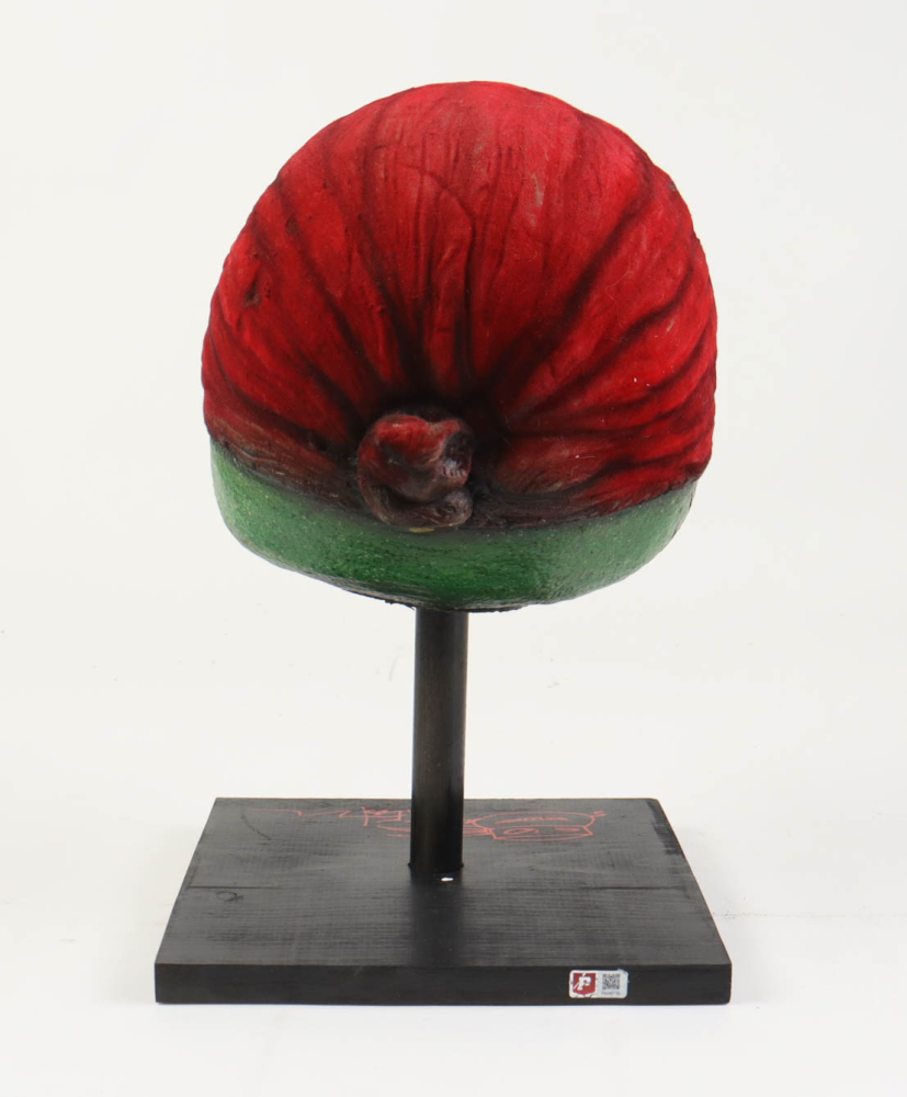 Kevin Eastman Signed Raphael - TMNT Life Size Custom Hand-Painted ...