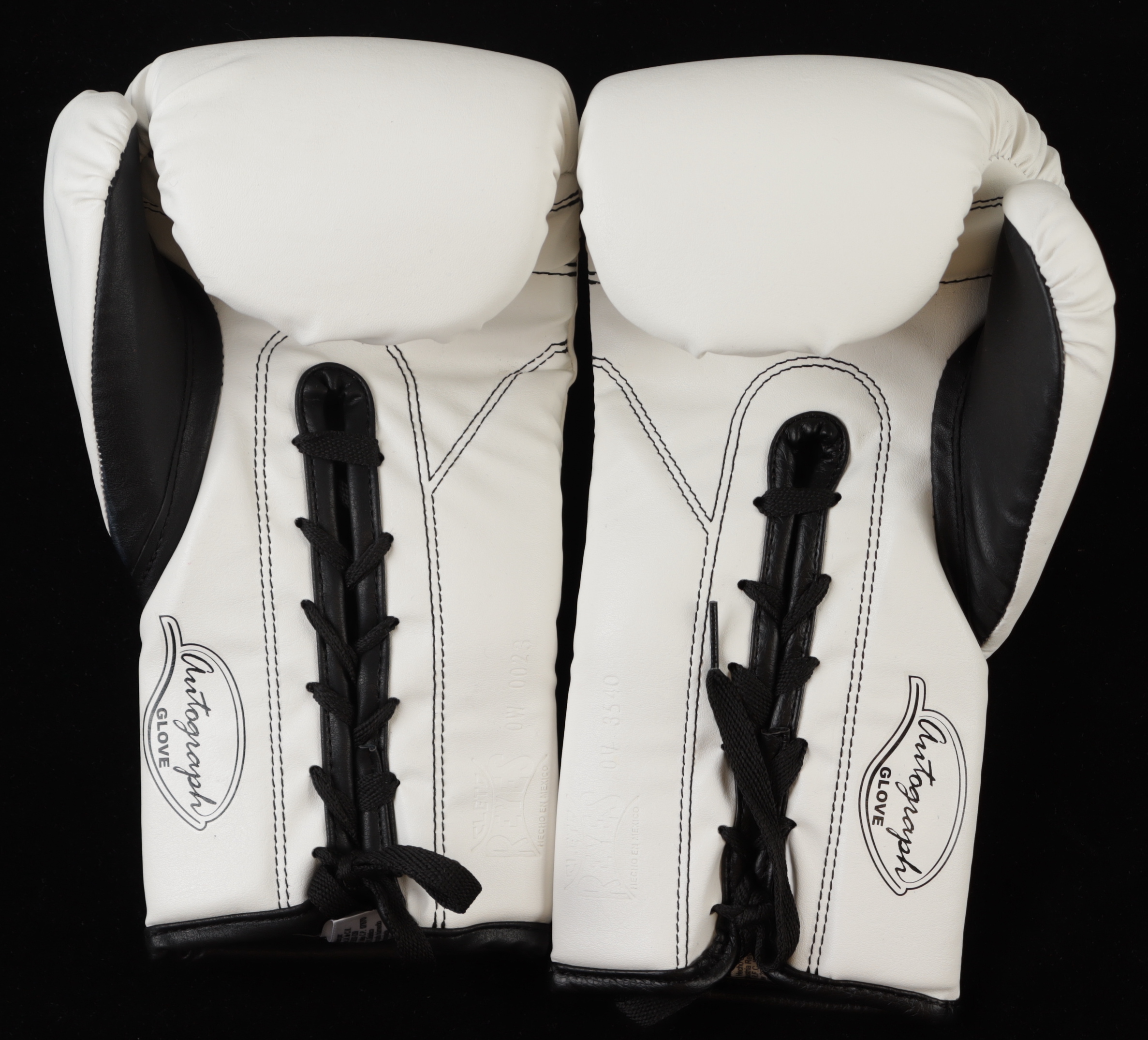 Mike Tyson Signed Cleto Reyes Official Glove Set (JSA & Tyson ...