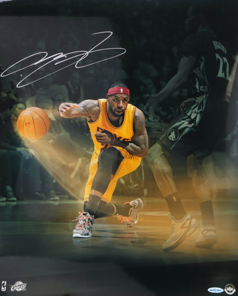LeBron James Signed Cavaliers 16x20 Photo (UDA) | Pristine Auction