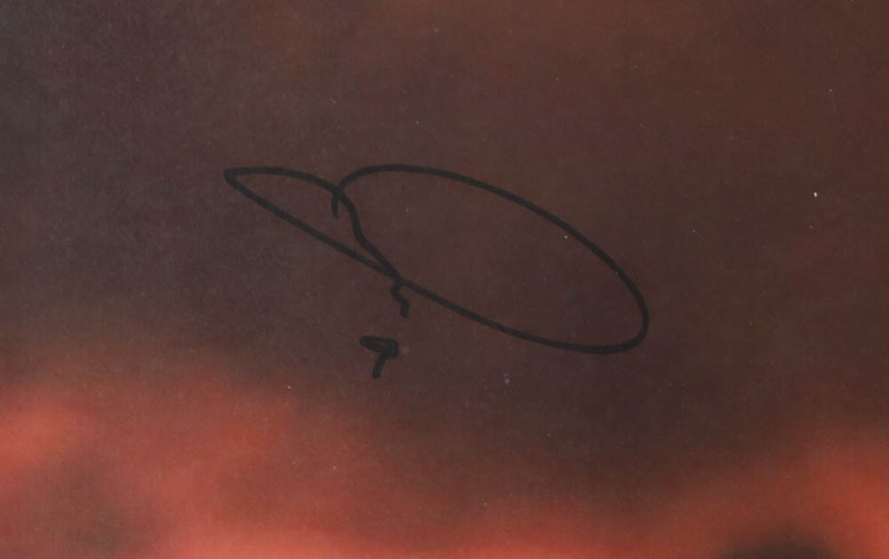 Jamie Campbell Bower Signed "Stranger Things" 11x17 Poster ...