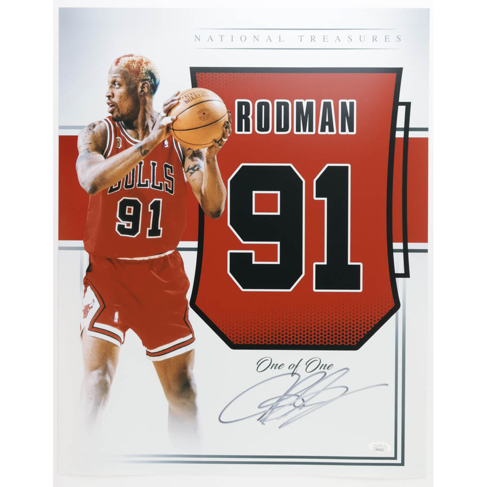 Dennis Rodman Signed Bulls 16x20 Photo (JSA) | Pristine Auction