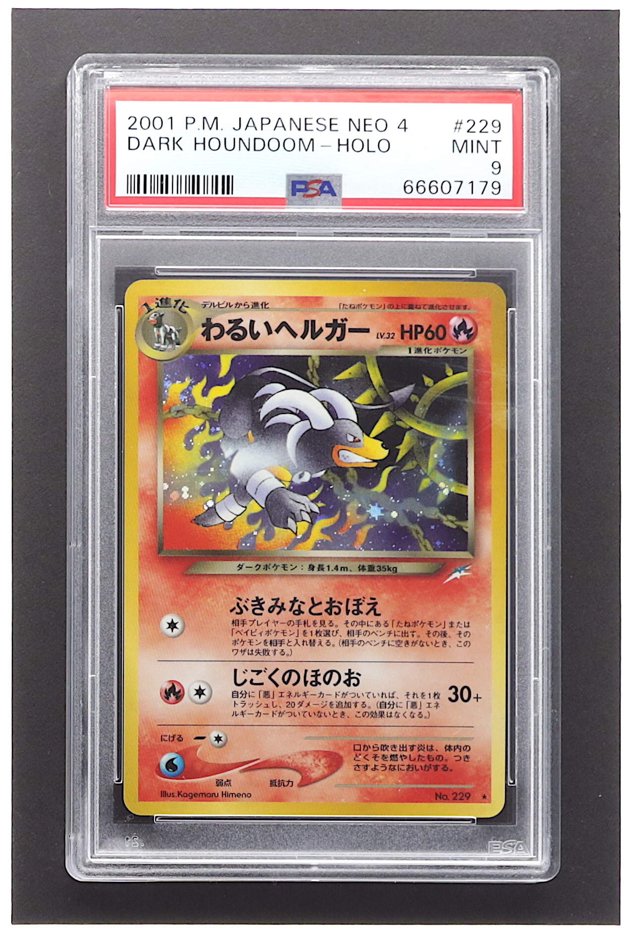 Houndoom 2001 Pokemon Darkness, and to Light Japanese #229 Holo (PSA 9 ...