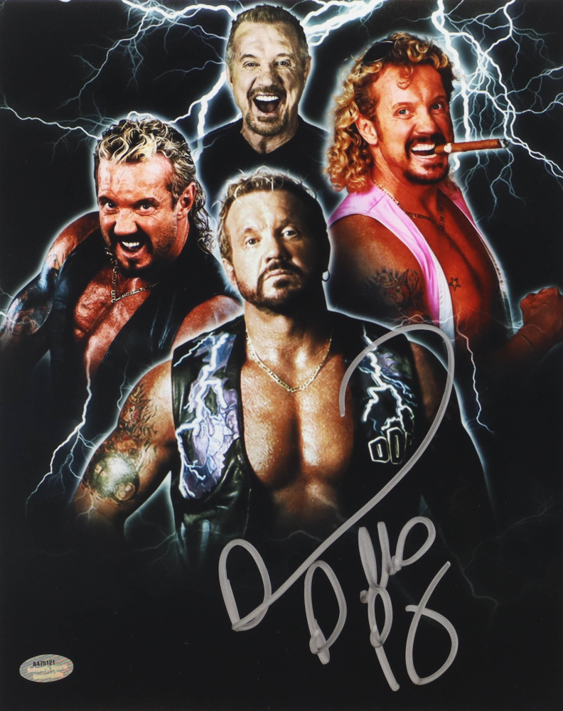 Diamond Dallas Page Signed WWE 8x10 Photo (Schwartz) | Pristine Auction