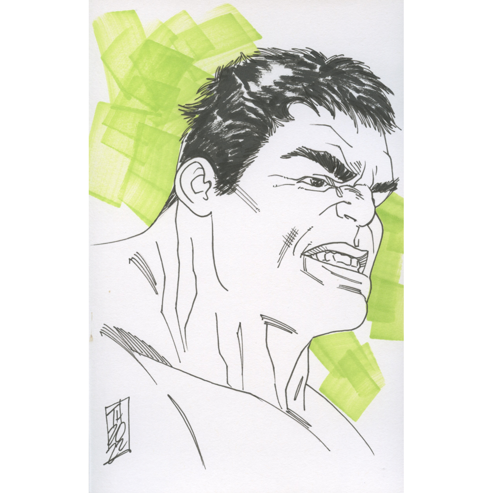 Hulk | Marvel Comics - Signed ORIGINAL Drawing by Tom Hodges (1/1 ...