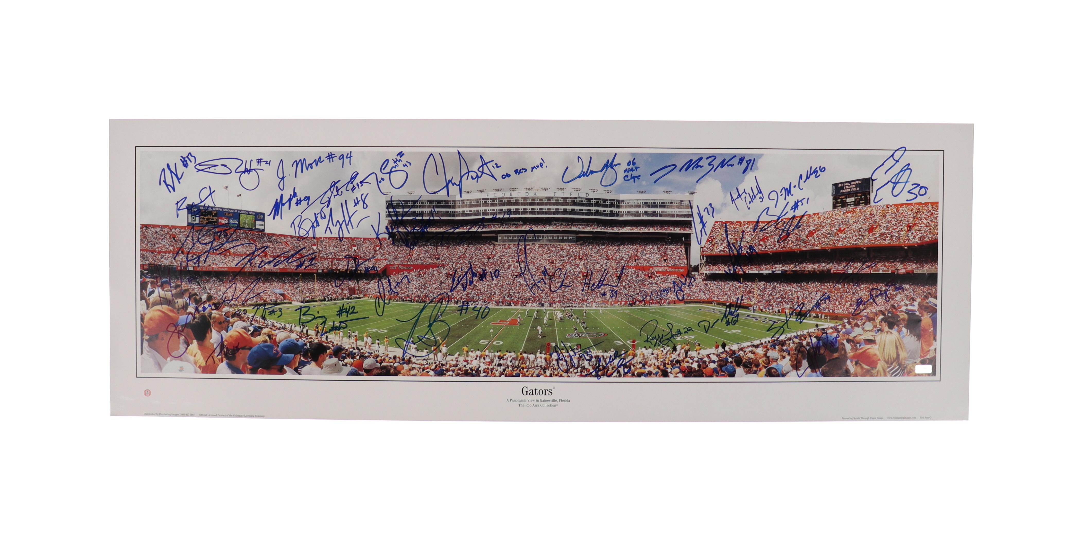 2006 "Gators" Ben Hill Griffin Stadium Panoramic Photo Florida Gators ...