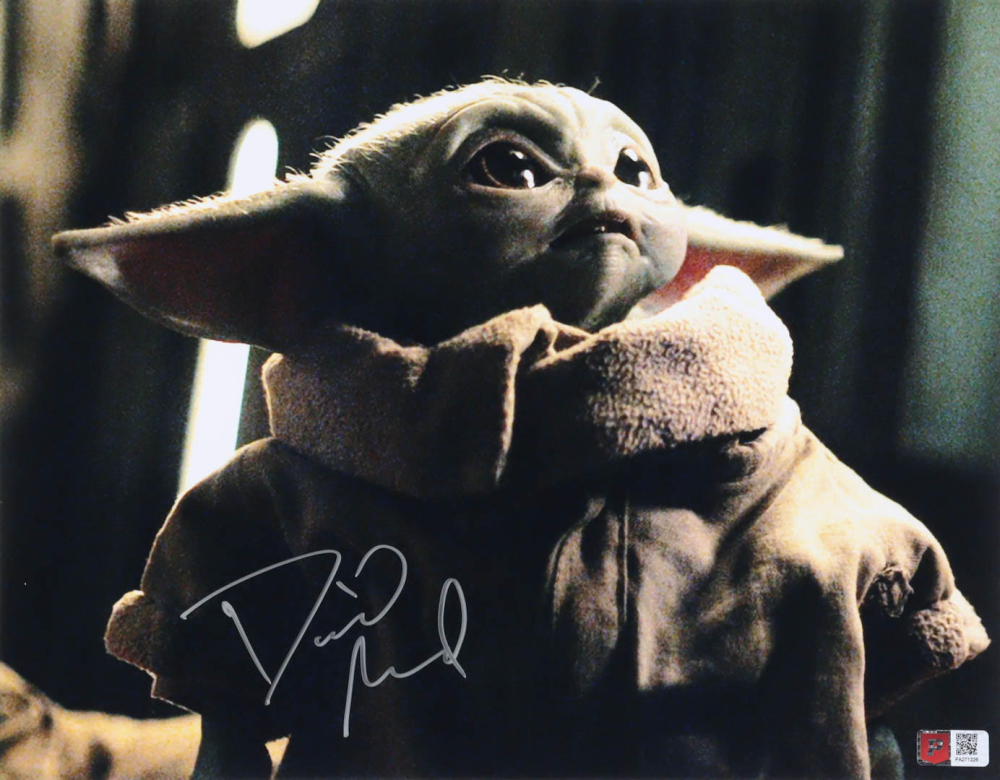 David Acord Signed "The Mandalorian" 11x14 Photo (PA) | Pristine Auction