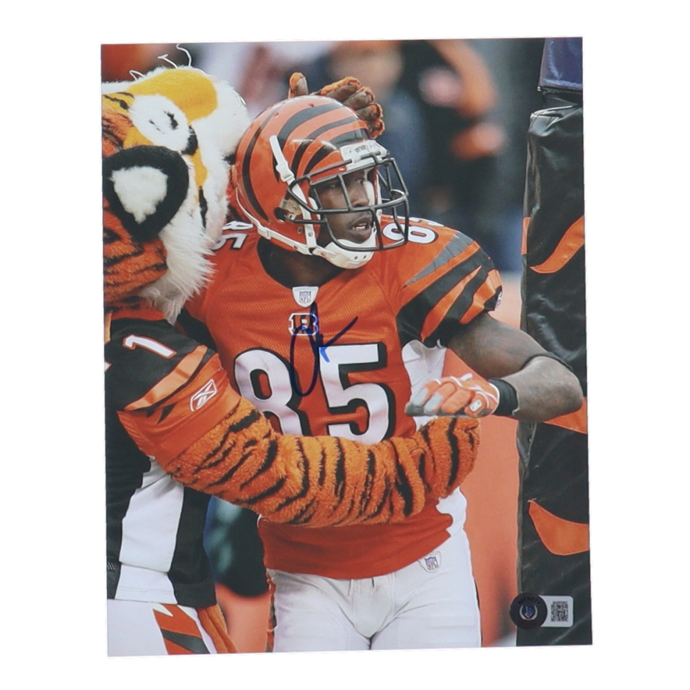 Chad Johnson Signed Bengals 8x10 Photo (Beckett) | Pristine Auction