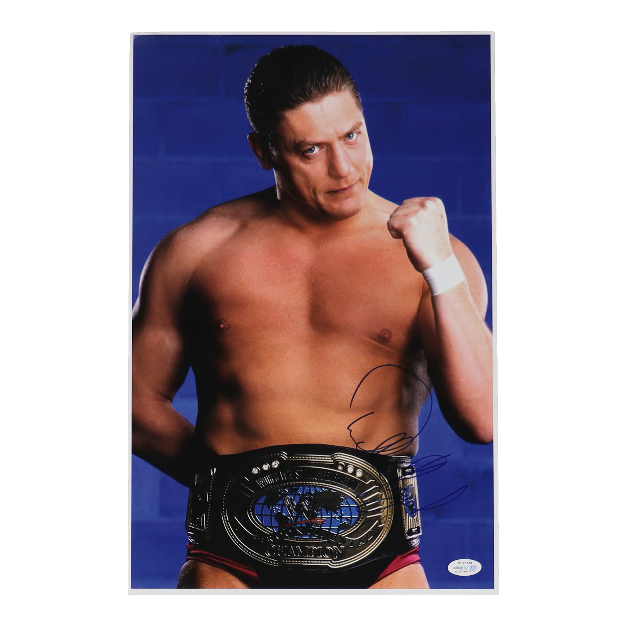 William Regal Signed WWE 11x17 Photo (AutographCOA) | Pristine Auction