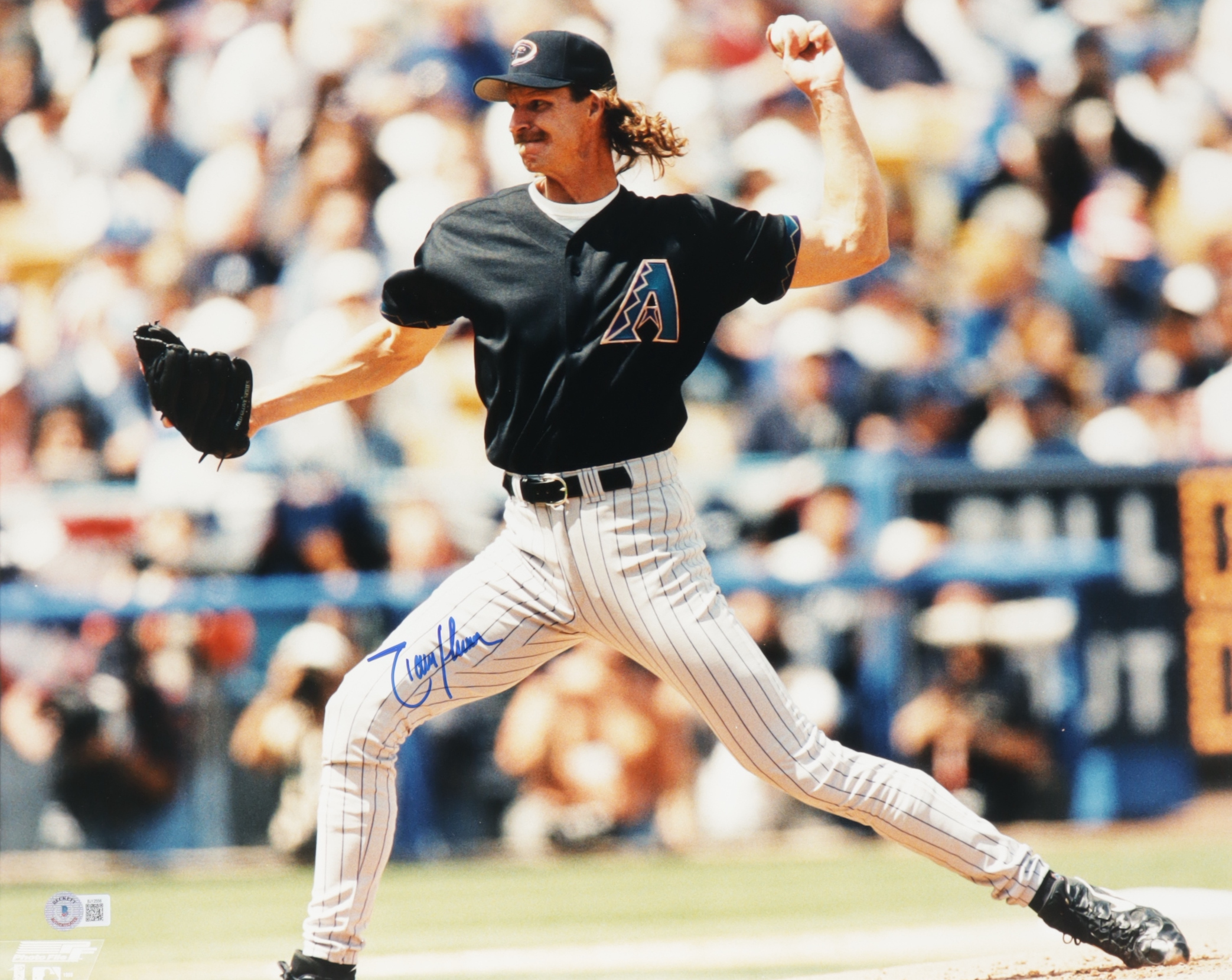 Randy Johnson Signed Diamondbacks 16x20 Photo (Beckett) | Pristine Auction