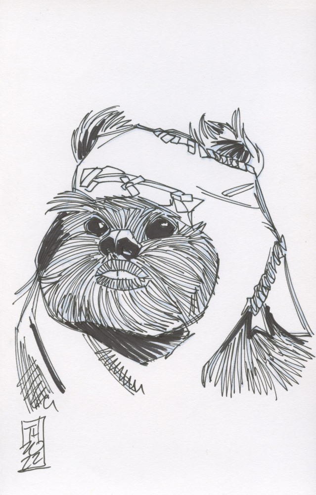Wicket the Ewok | Star Wars - Signed ORIGINAL Drawing by Tom Hodges (1/ ...