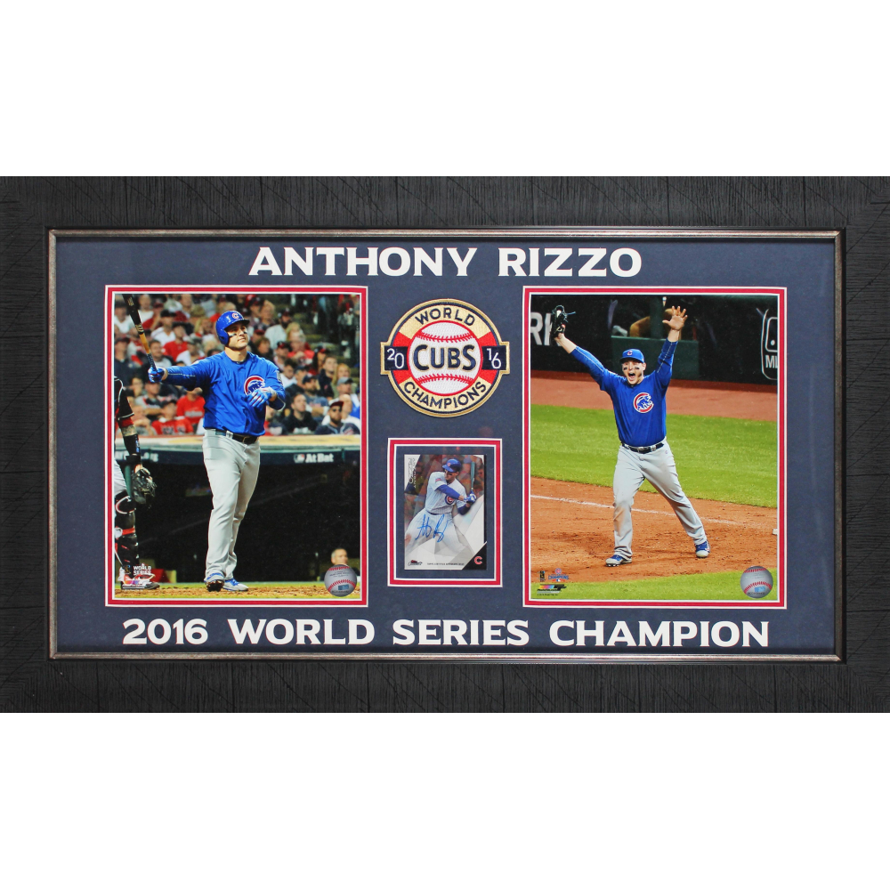 Anthony Rizzo Signed 18x28 Framed Card Display | Pristine Auction