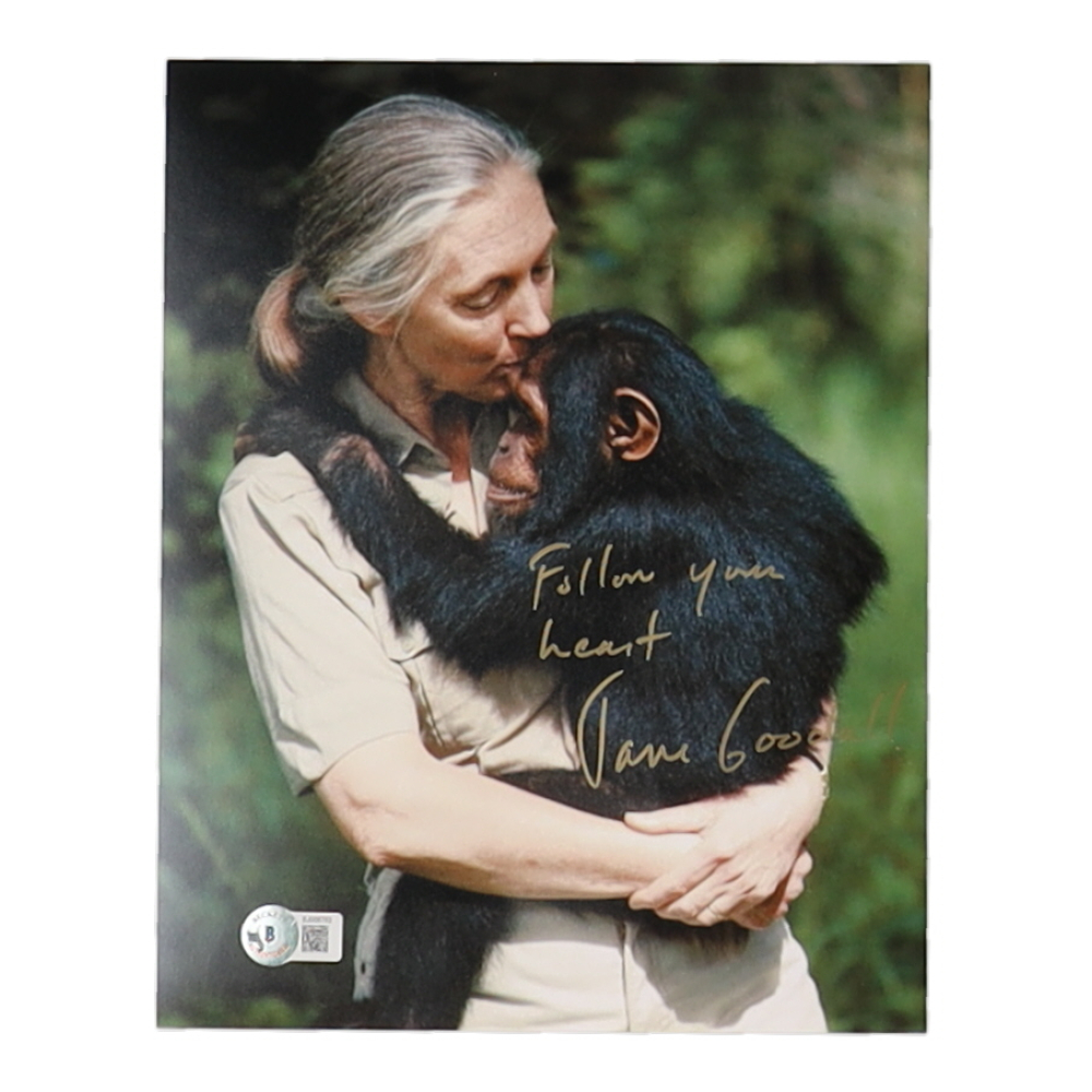 Jane Goodall Signed 8x10 Photo Inscribed "Follow Your Heart" (Beckett ...