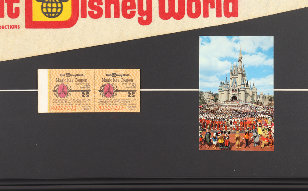 Walt Disney World Custom Framed Pennant Display with Vintage Ticket ...