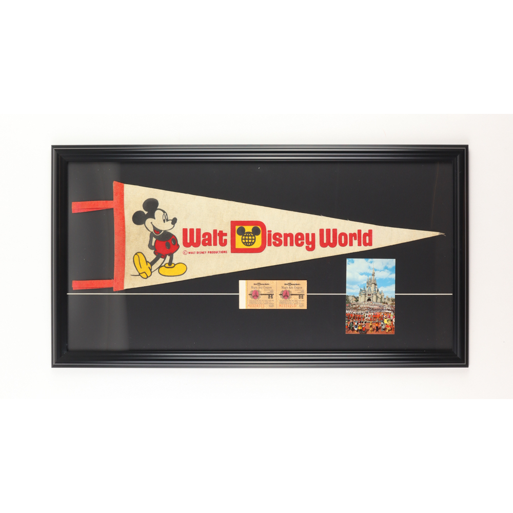 Walt Disney World Custom Framed Pennant Display with Vintage Ticket ...