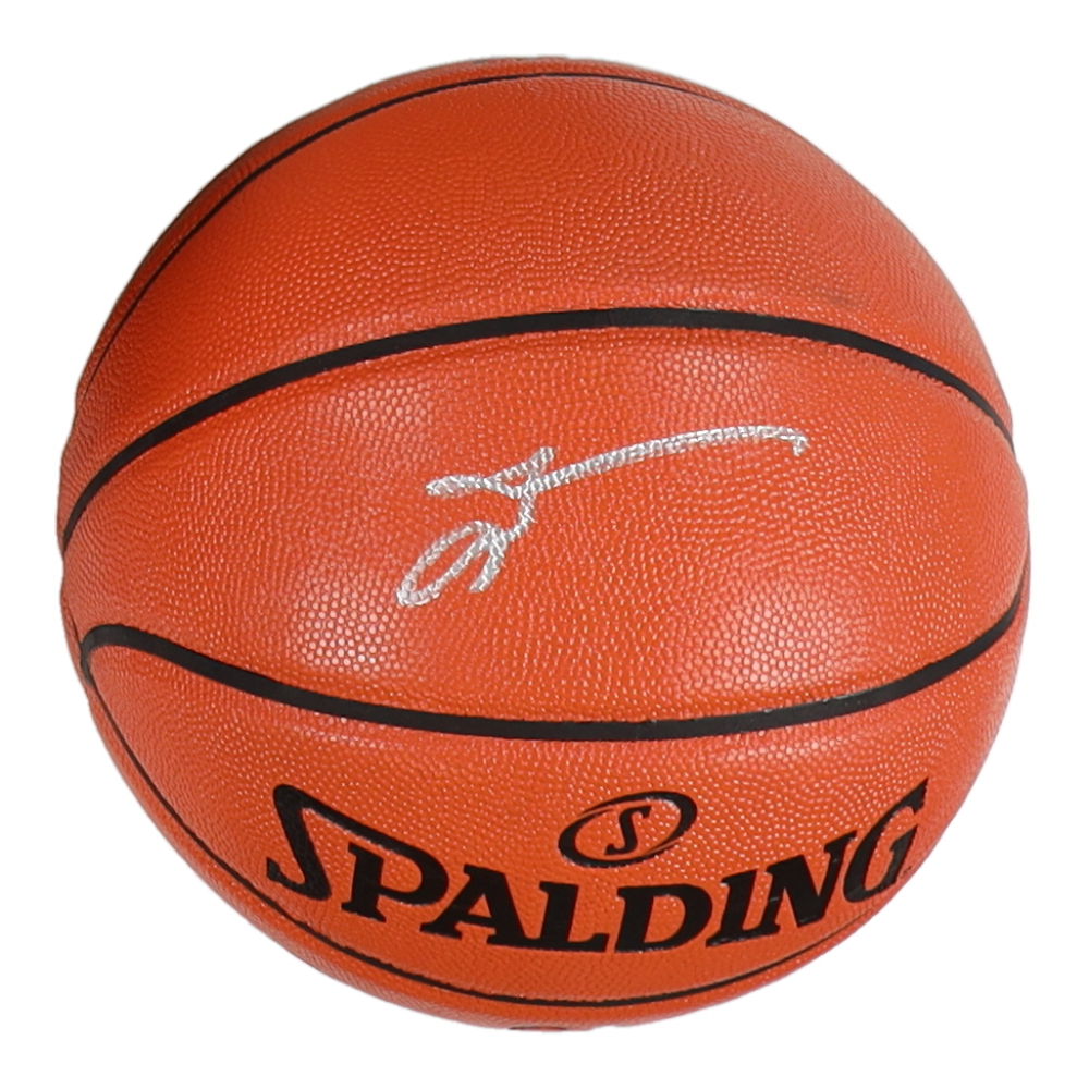 Allen Iverson Signed NBA Game Ball Series Basketball (Beckett & Palm ...